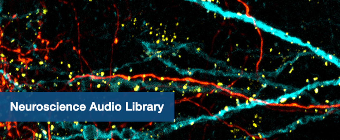 Neuroscience Audio Library