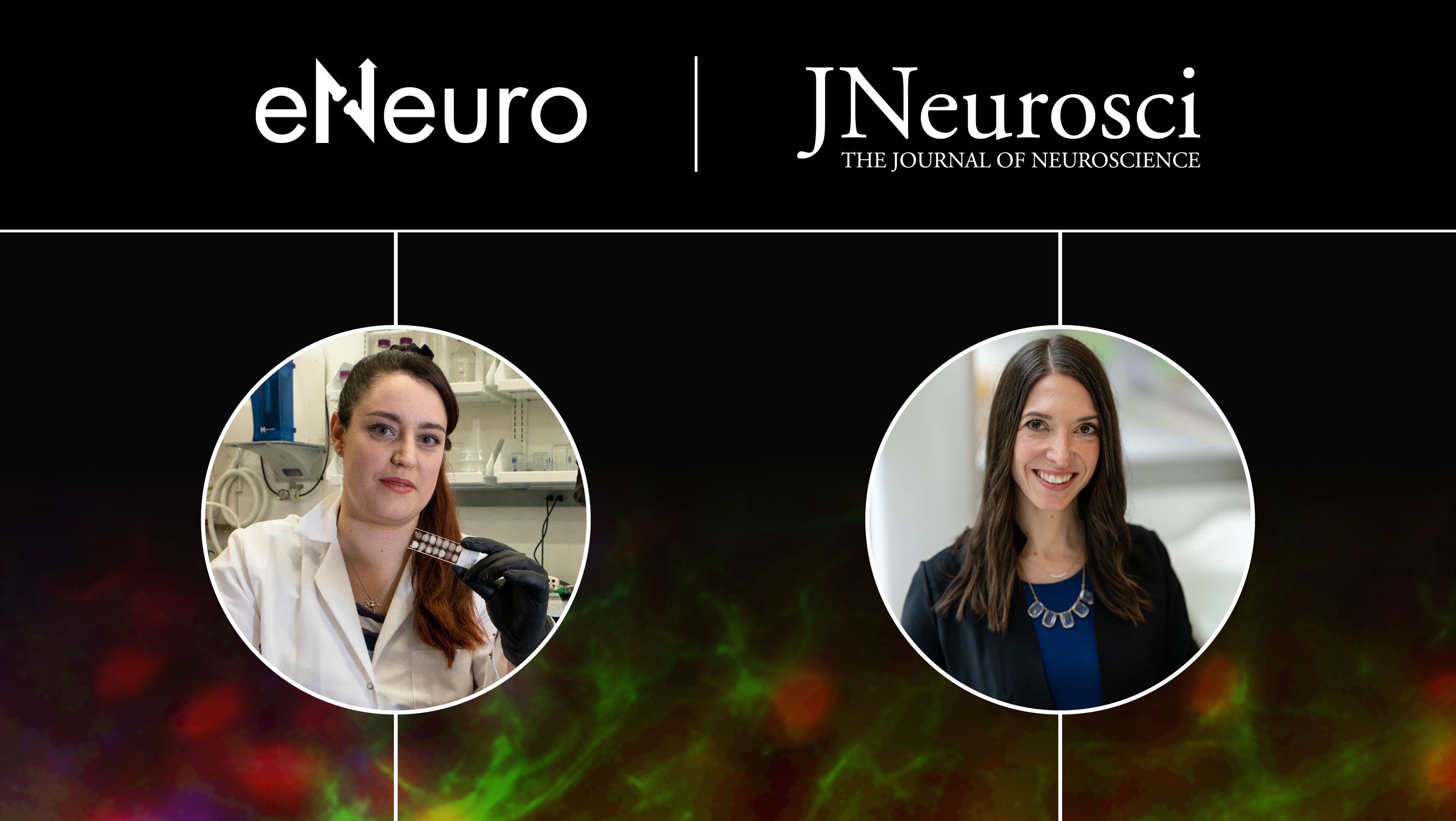 Reactivation of Early-Life Stress-Sensitive Neuronal Ensembles ... Reactivation of Early-Life Stress-Sensitive Neuronal Ensembles ...