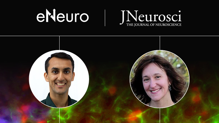Neuronal Population Encoding Of Identity In Primate Prefrontal Cortex